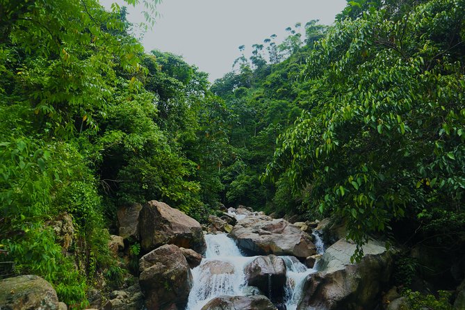Bogor Botanical Garden & Rainforest Trekking to Hidden Waterfall - Trekking into the Rainforest and Hidden Waterfall