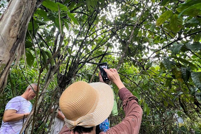 Bohol Day Tour with Round-Trip Transfers from Cebu - Final Thoughts
