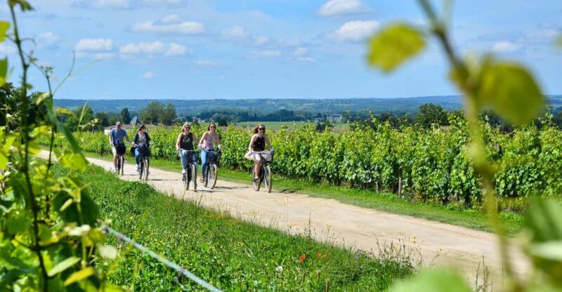 Bordeaux Backcountry E-Bike Tour with Lunch & Wine Tasting - Additional Practical Details