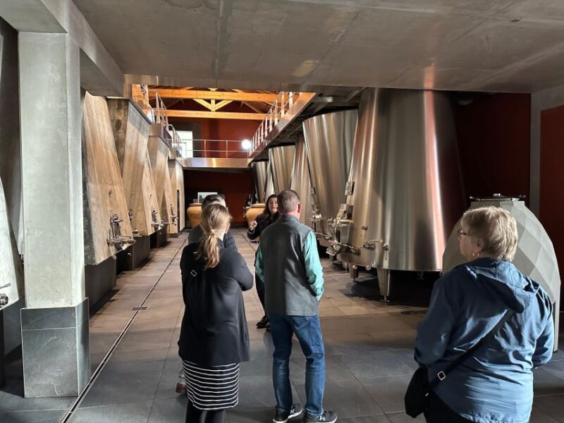 Bordeaux: Medoc tour in a small group (Luxury Mercedes EQV) - Practical Tips for Travelers