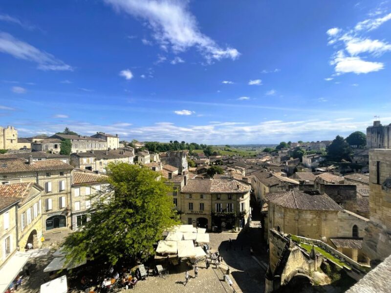 Bordeaux: St-Emilion Vineyards e-Bike Tour with Wine & Lunch - Practical Details & Tips