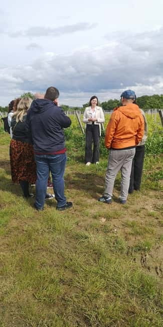 Bordeaux wine tour: 2 wineries & wine tastings (red & white) - Deep Dive Into the Itinerary