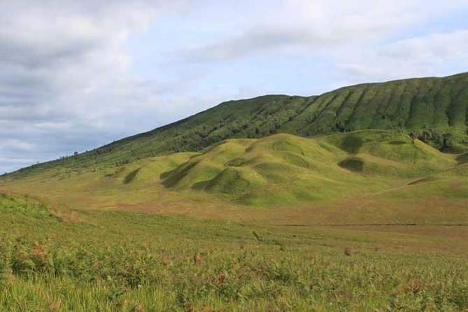Bromo panorama tour to avoid the crowds - start Malang // 1 day tour - Who Is This Tour Perfect For?