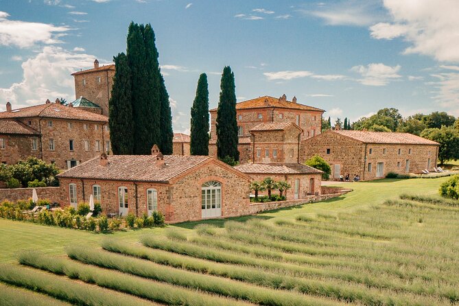 By Ebike: Visit an Art Park and Wine Taste in the Classic Chianti - Practical Considerations and Tips