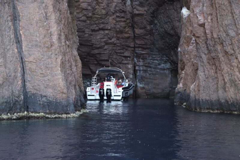 Calvi to Scandola: 4-Hour Boat Tour - What’s Included and What to Bring