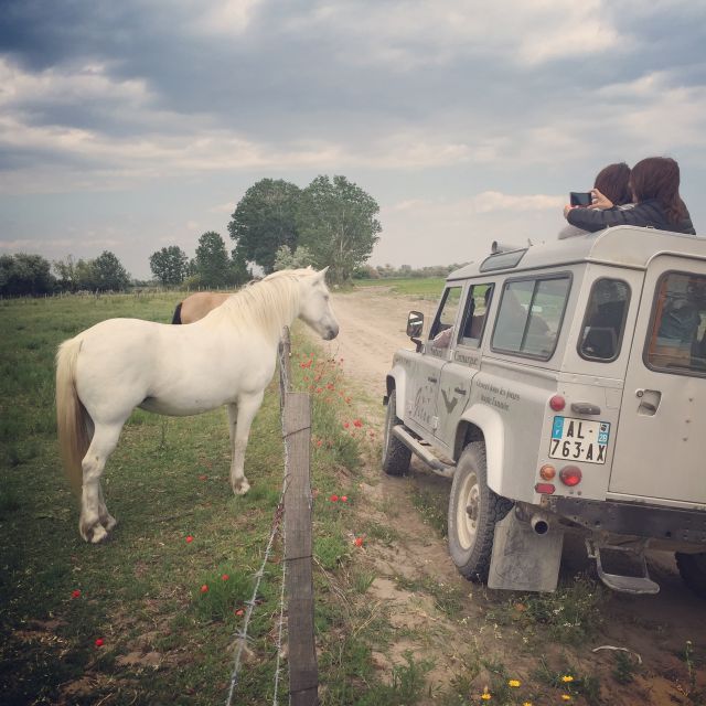 Camargue: Safari from Saintes-Maries-de-la-Mer - Practical Details