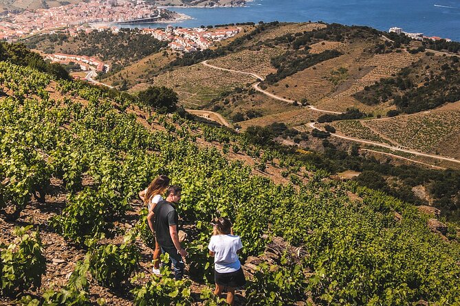 Camembert in Banyuls - Frequently Asked Questions