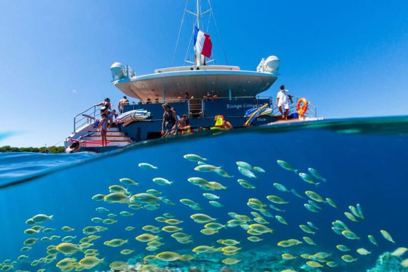 Cannes: Half-Day Catamaran Cruise - Practical Tips for Your Trip