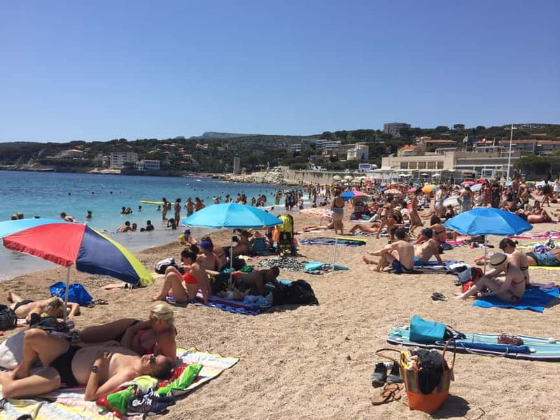 Cassis, Bandol, Le Castellet wine tour: Cliffs and Vineyards - Authentic Experiences and Traveler Insights