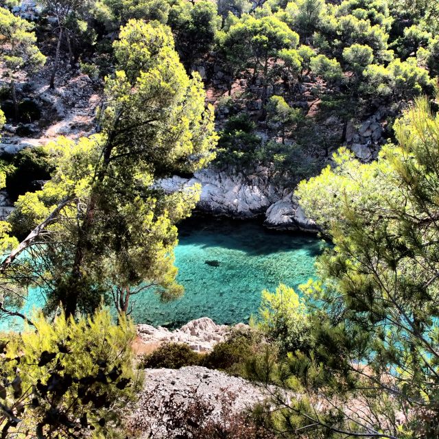 Cassis: Calanques National Park Sea Kayaking Tour - Logistics and Practicalities