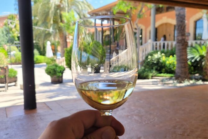 Castle Tour in Province of Alicante and Wine Tasting - Authenticity and Traveler Experience