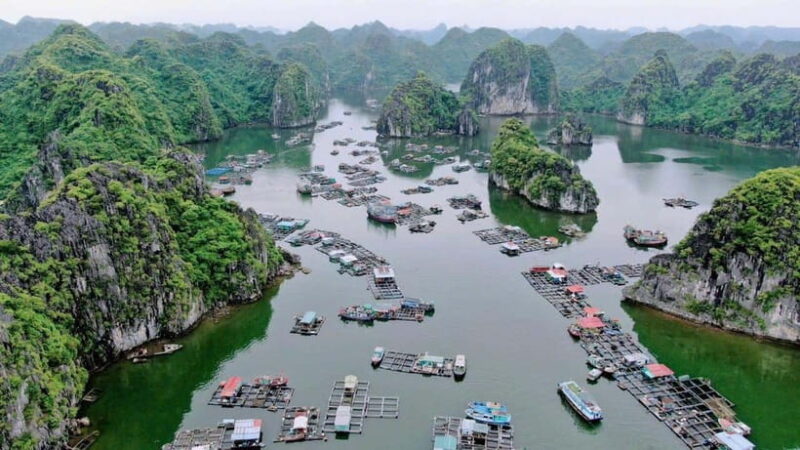 Cat Ba: Lan Ha Bay Halfday Cruise with Kayaking - Detailed Breakdown of the Itinerary