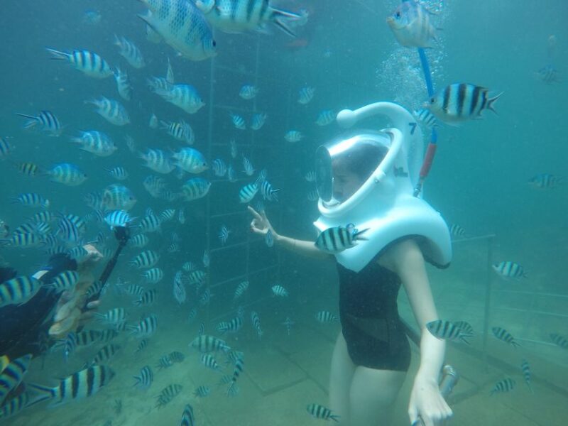 Cham Island: Underwater Walking & Snorkeling Tour - Final Thoughts