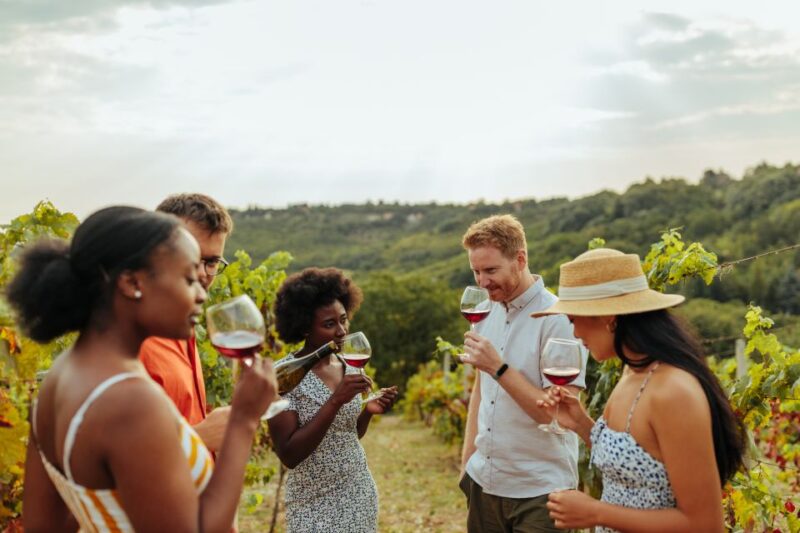Charleston: Wadmalaw Island Wine Tasting and Tea Garden Trip - Authenticity and Experience