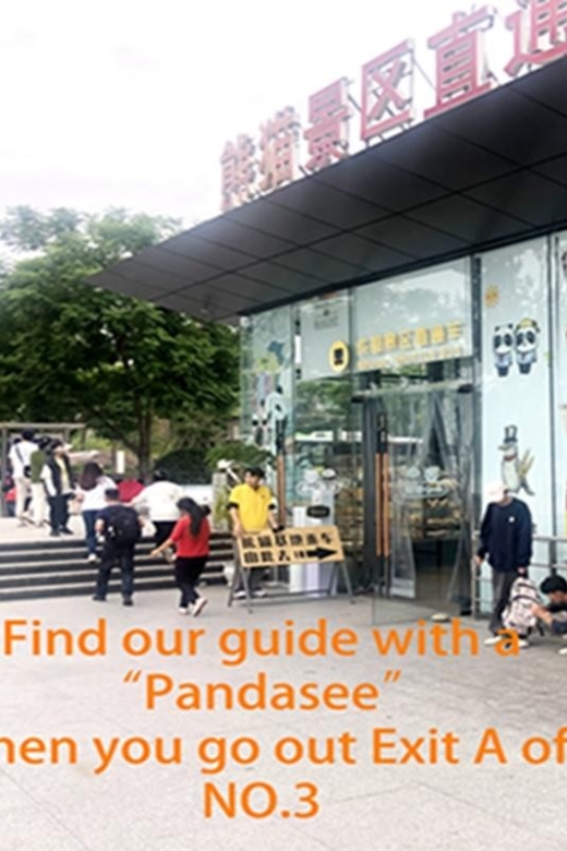 Chengdu panda base half day tour - Final Thoughts