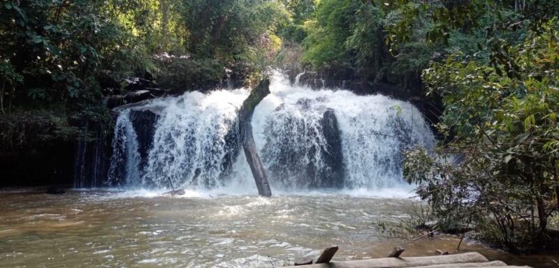 Chiang Mai: 2-Day Jungle Trek with Elephant Farm & Raft Ride - Who Should Consider This Tour?