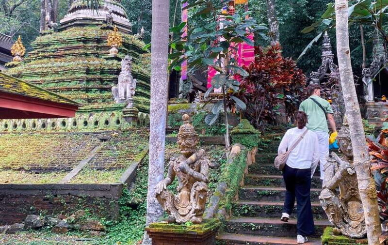 Chiang Mai: Doi Suthep, Wat Pha Lat and Michelin Food Tour - Authenticity and Guest Feedback