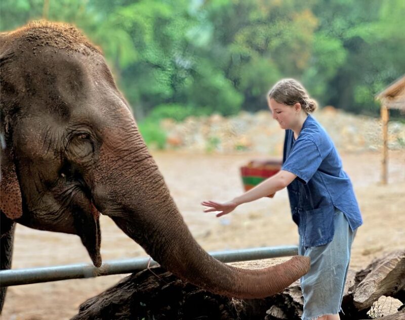 Chiang Mai : Highlight in one day - Closing the Day: Reflection and Return