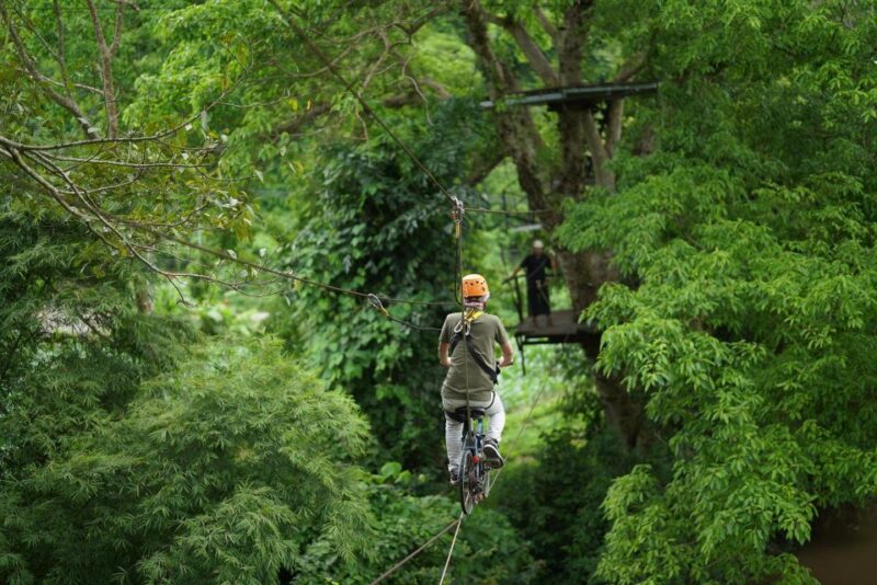 Chiang Mai: National Elephant Care, Rafting, & Ziplines Trip - A Delicious, Scenic Lunch
