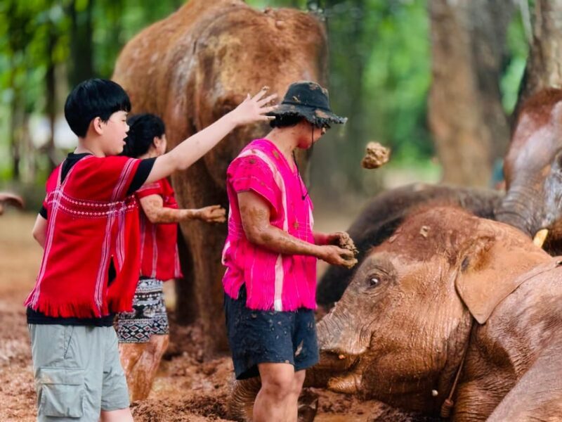 Chiang Mai : Temple , Nature and culture in one day. - Authentic Thai Lunch: Fueling the Day