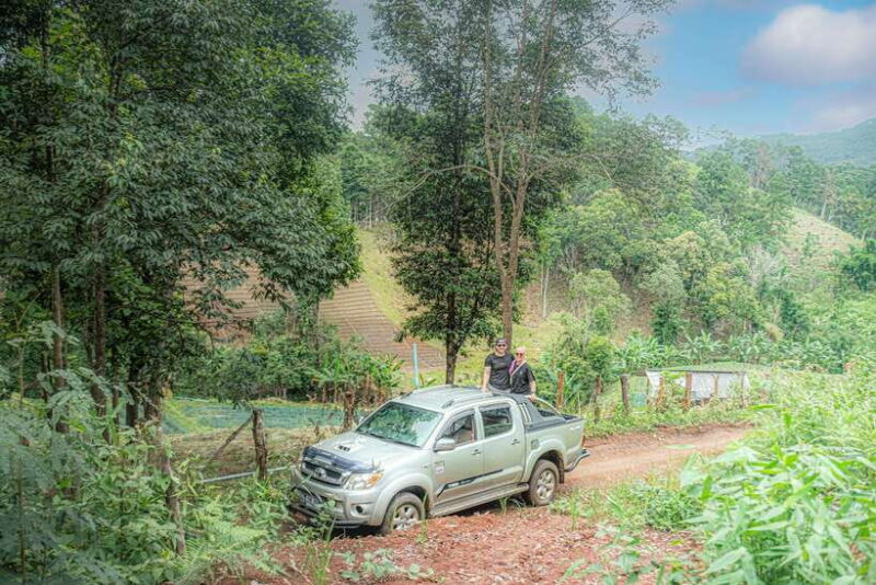 Chiangmai hilltribe Coffee Forest : Trek Plant Roast & Brew - The Value for Your Money