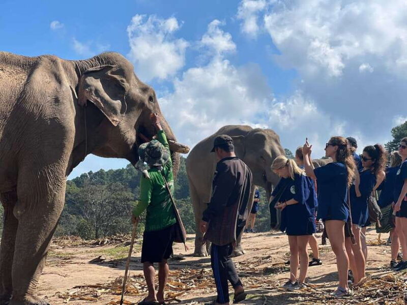 Chiangmai Overnight Trip with Ethical Elephant Santuary - The Value of This Experience