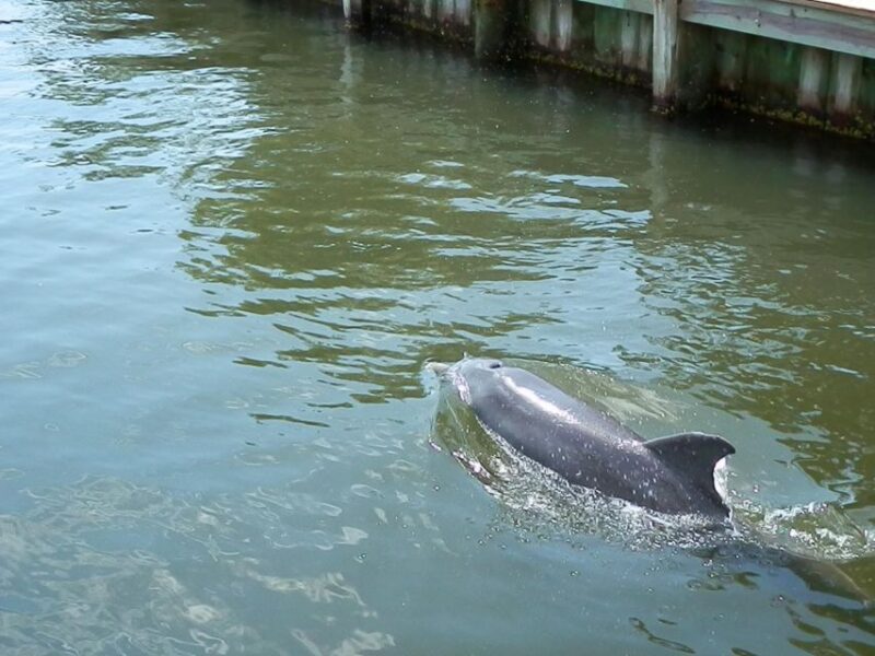 Cocoa Beach: Thousand Islands Banana River Boat Cruise - Breaking Down the Itinerary