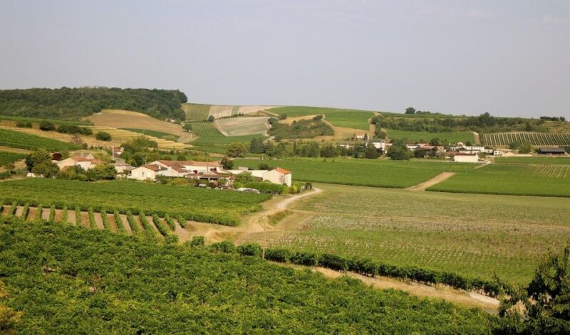Cognac Private Guided Walking Tour - The Route and Key Stops