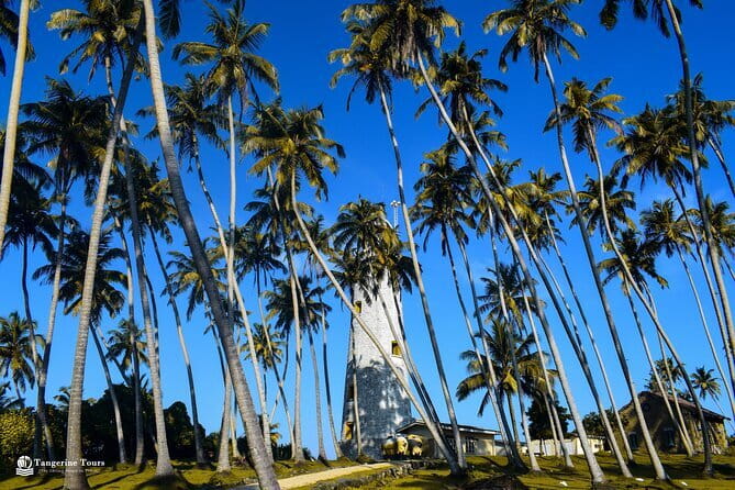 Colombo City Tour By TukTuk (ALL INCLUSIVE)Morning & Evening - Who Would Love This Tour?