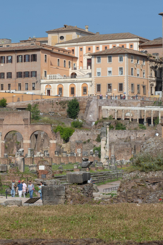 Colosseum with Arena, Roman Forum, and Palatine Hill tour - Who Should Consider This Tour?