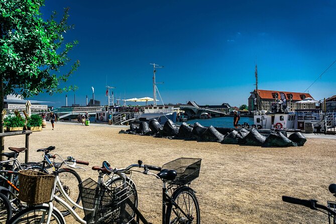 Complete Copenhagen Private Bike Tour - Final Thoughts: Who Should Book This Tour?