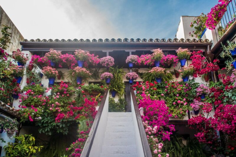 Córdoba: Guided Tour of the Patios - Final Thoughts