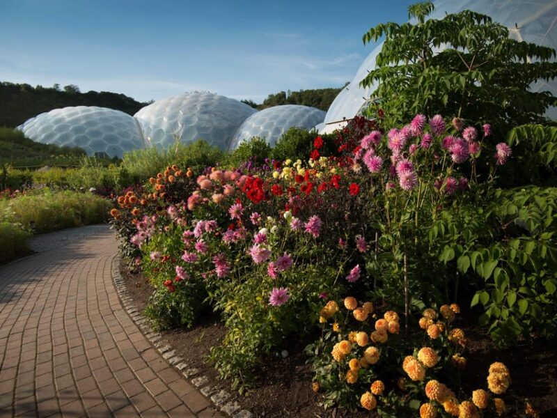 Cornwall: Eden Project Entry Ticket - In-Depth Breakdown of the Experience