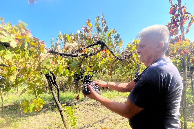Craftsmanship and Flavors of Sorrento and Amalfi Coast - Who Should Consider This Tour?