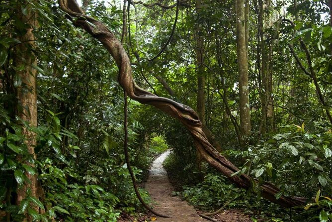 Cuc Phuong National Park Private Day Tour: Trekking & Primates - Who Is This Tour For?