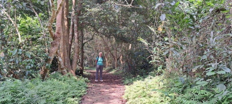 Cuc Phuong National Park - Van Long Day Trip From Hanoi - Who Should Consider This Tour?