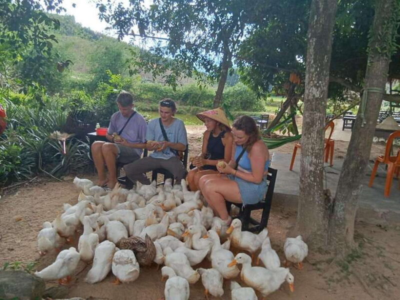 Cycling Through Countryside and Cooking Class in Duck Stop - Potential Drawbacks or Considerations