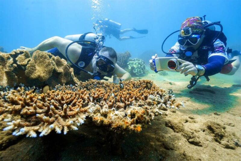 Da Nang: Cham Island Boat Day Trip with Snorkeling and Lunch - Authenticity and Value
