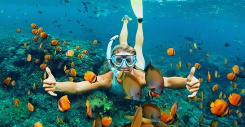 Da Nang/Hoi An: Discovery Cham Island and Snorkeling 1 day - What’s Included — and What You Might Want to Consider