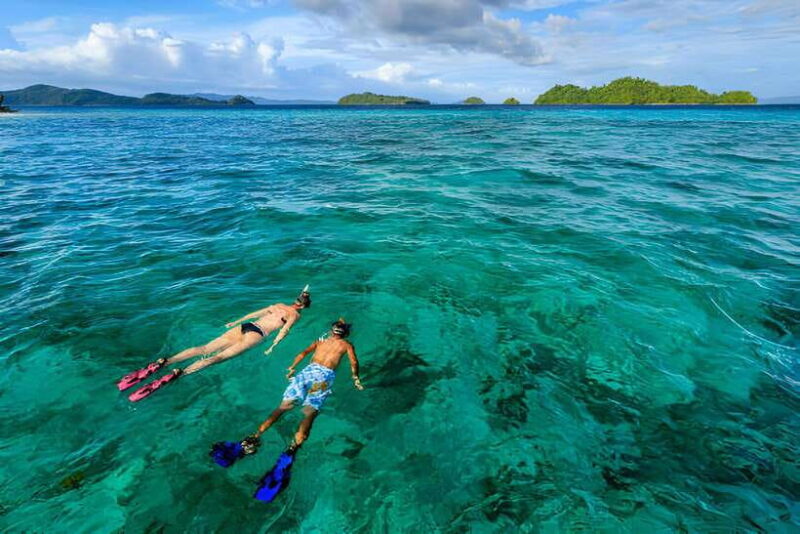 Da Nang: Son Tra Peninsula Exploration - Snorkeling, Fishing - Real Experiences and Feedback