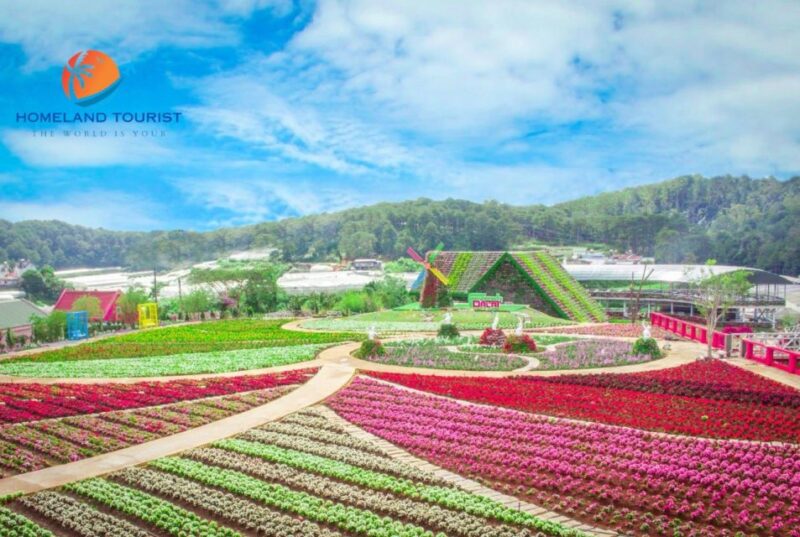 Dalat Culture Tour - Delicious Lunch and Sweet Strawberries