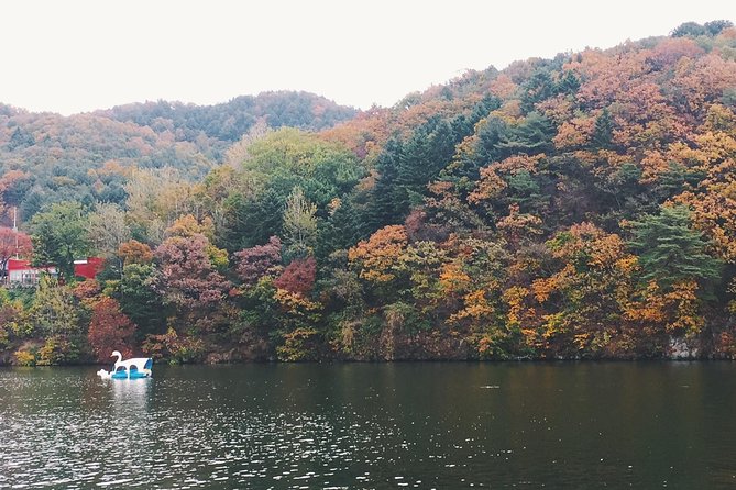 Day Tour to Gangchon Rail Bike Nami Island and Petite France - Final Thoughts