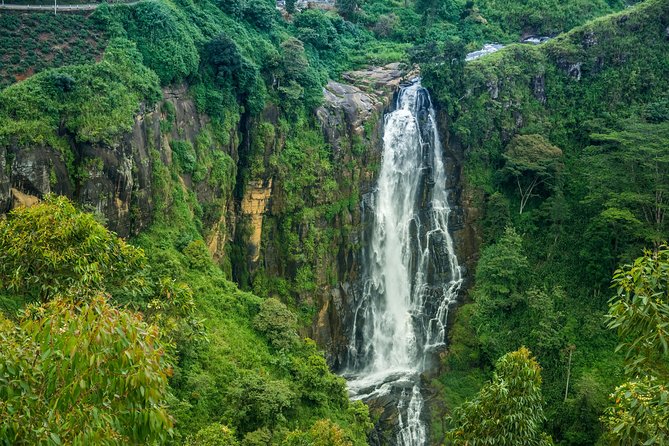Day tour to Nuwareeliya (Little England) from Kandy - What’s Included and What’s Not