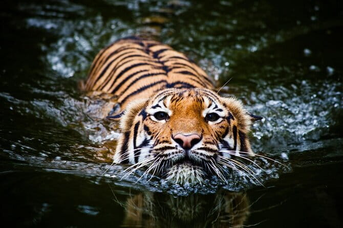 Day Trip Taj Mahal, Agra Fort & Baby Taj Tour from Delhi by Car - Who Is This Tour Best For?