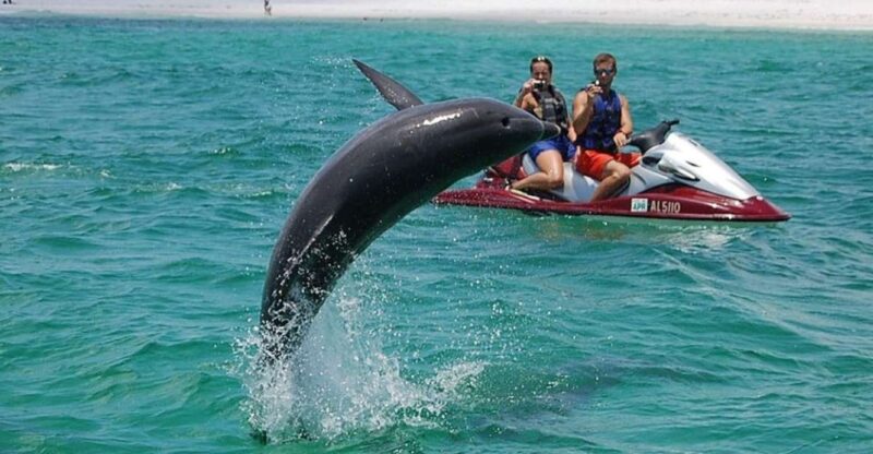 Destin: Crab Island Dolphin Watching Jet Ski Tour - Final Thoughts
