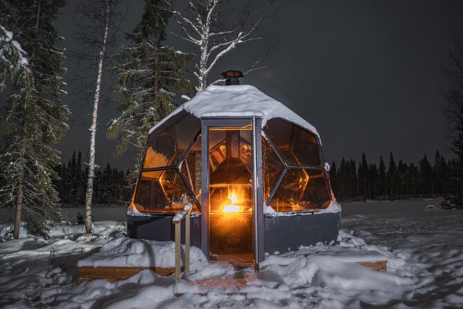 Dinner with Northern Light hunt in Rovaniemi - Practical Details and Value
