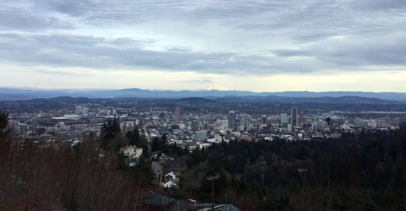 Discover Portland: Half-Day Small Group City Tour - Group Size and Atmosphere