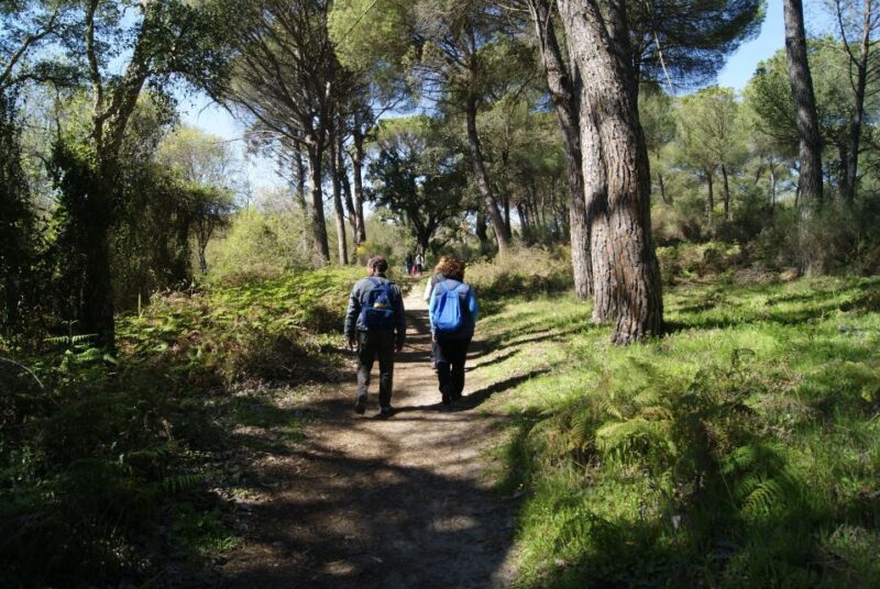 Doñana National Park Off-Road Tour from Seville - Authentic Reviews: Voices from Past Travelers