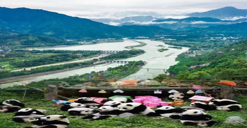 Dujiangyan panda base and irrigation system park day tour - Real Experiences and Traveller Feedback