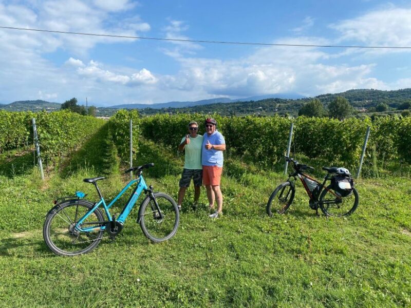 E-Bike Tour with Wine Tasting in the Bardolino area - The Winery Visit and Tasting